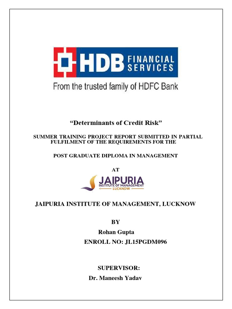 Hdb File Ashish | PDF | Credit Rating | Financial Risk
