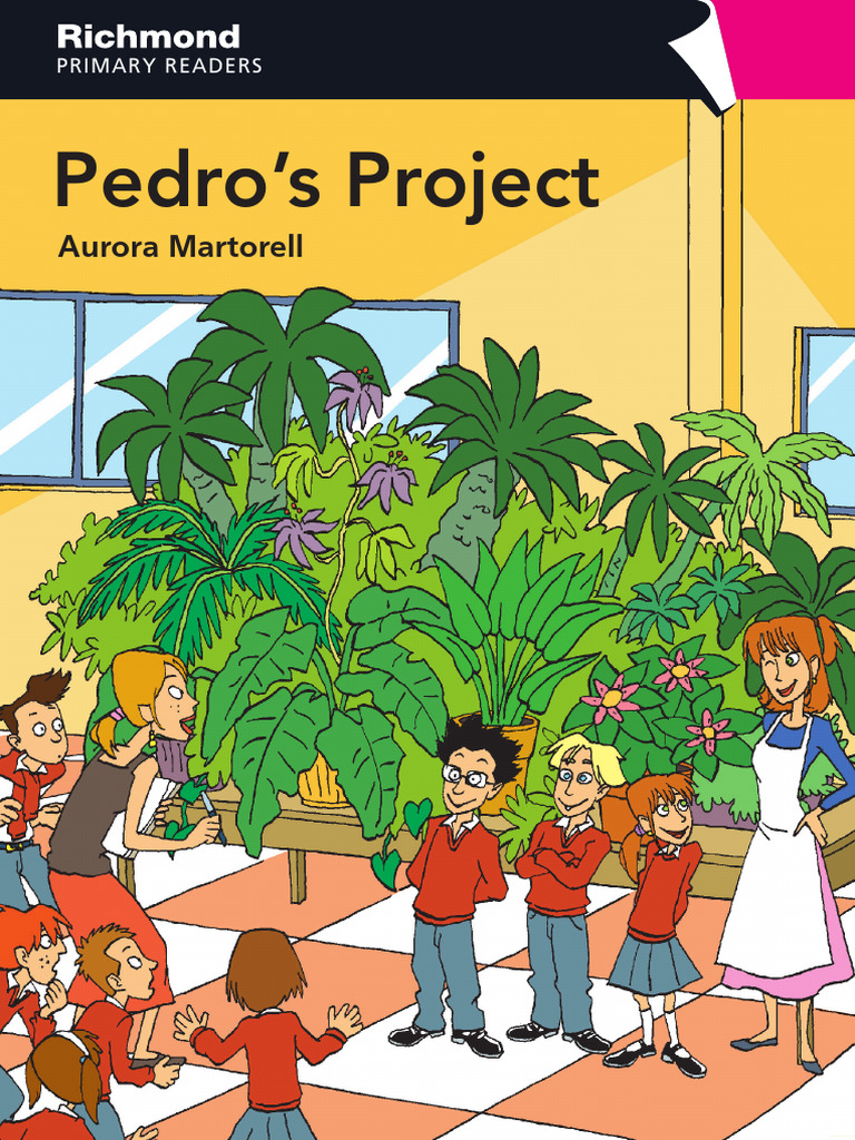 Pedro's Project Competition Overview | PDF