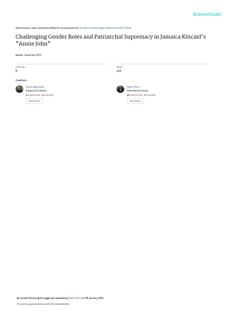 Challenging Gender Roles and Patriarchal | PDF | Gender Studies | Feminism