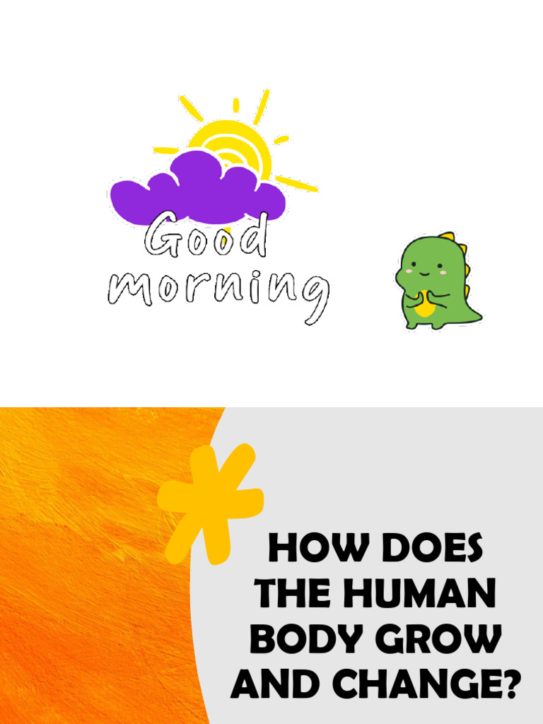 L3 Human Body Grow - Change | PDF | Adolescence | Adults