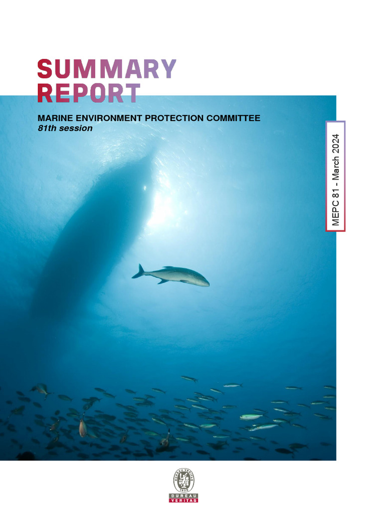 MEPC.81 - BV Summary | PDF