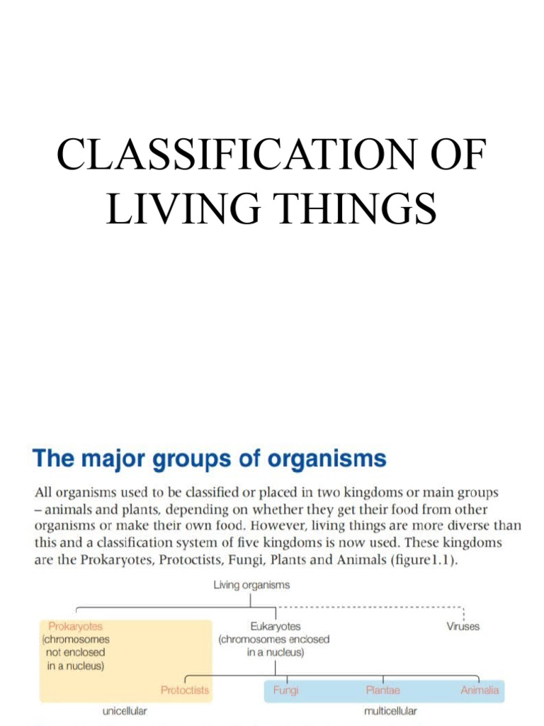 PRESENTATION CLASSIFICATION OF LIVING THINGS | PDF