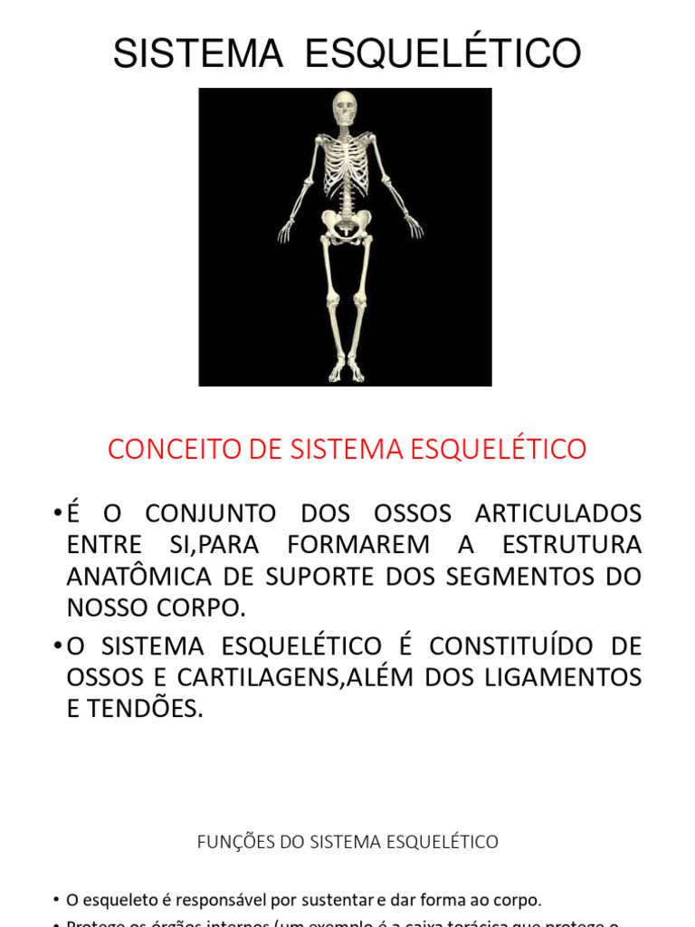 SISTEMA ESQUELÉTICO SLIDES. 15.06.2020 | PDF | Osso | Esqueleto