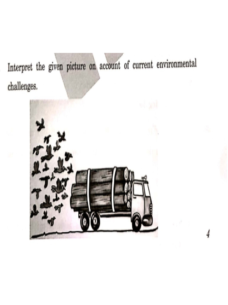 Picture Based Questions | PDF