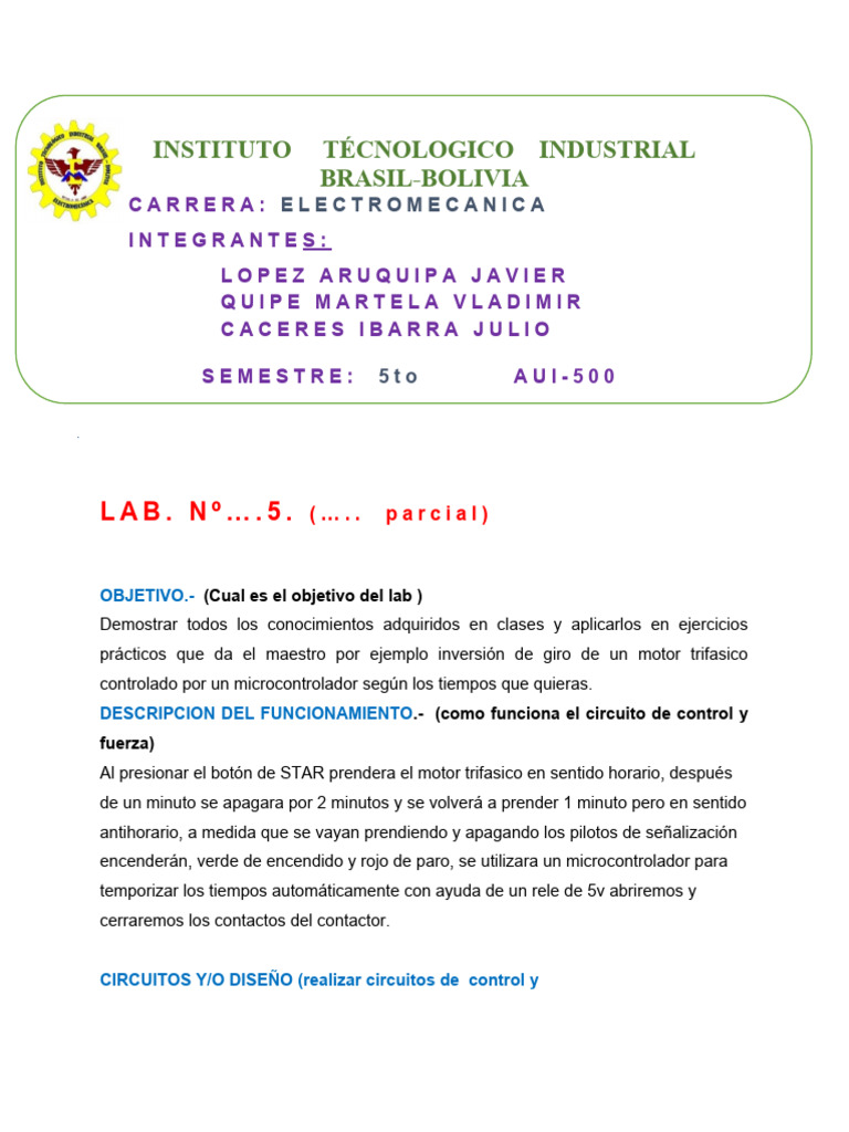 Formato para Presentar Inf. Lab. | PDF