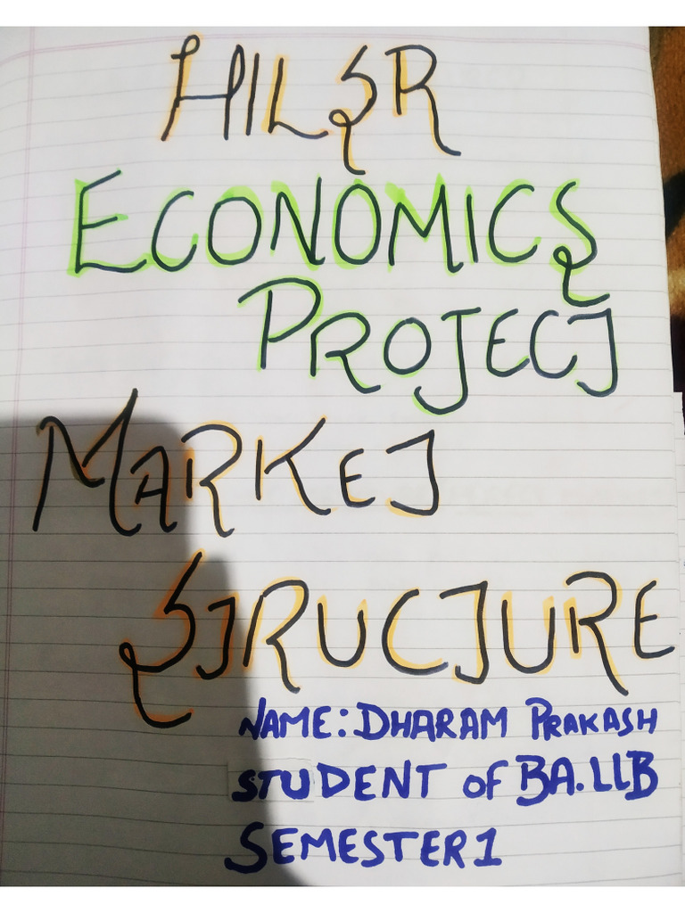 Economic Assignment | PDF