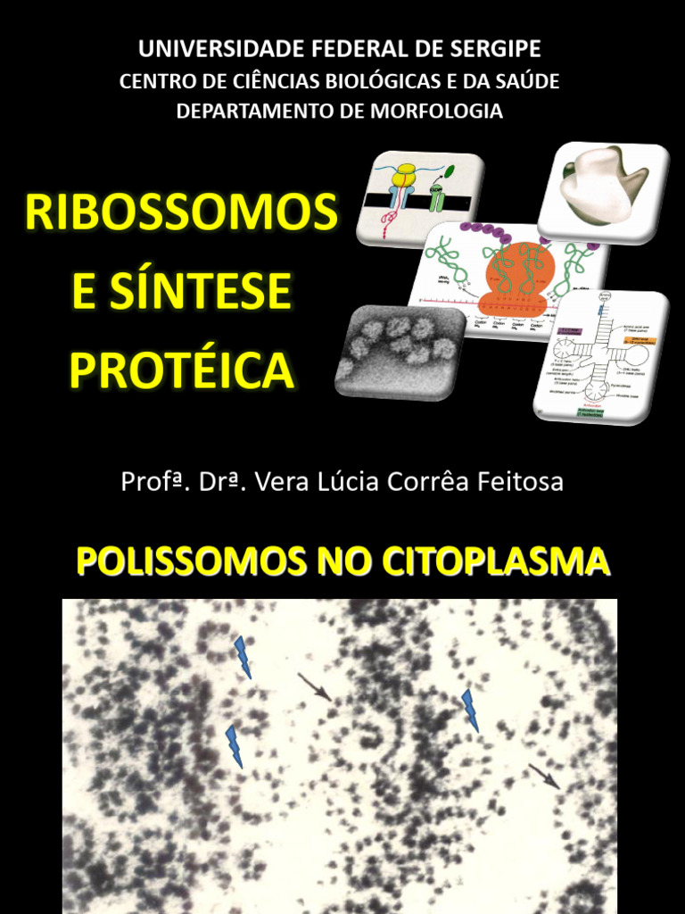 Ribossomos e Síntese Proteíca | PDF | RNA | Código genético