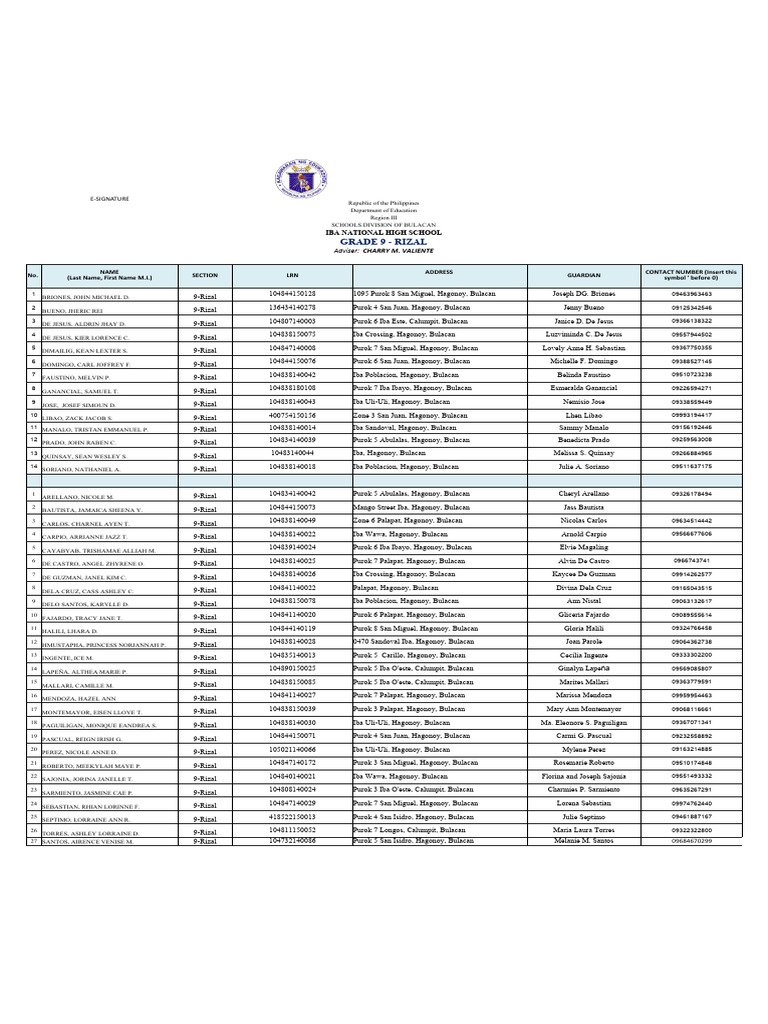 Id Info 9 Rizal | PDF