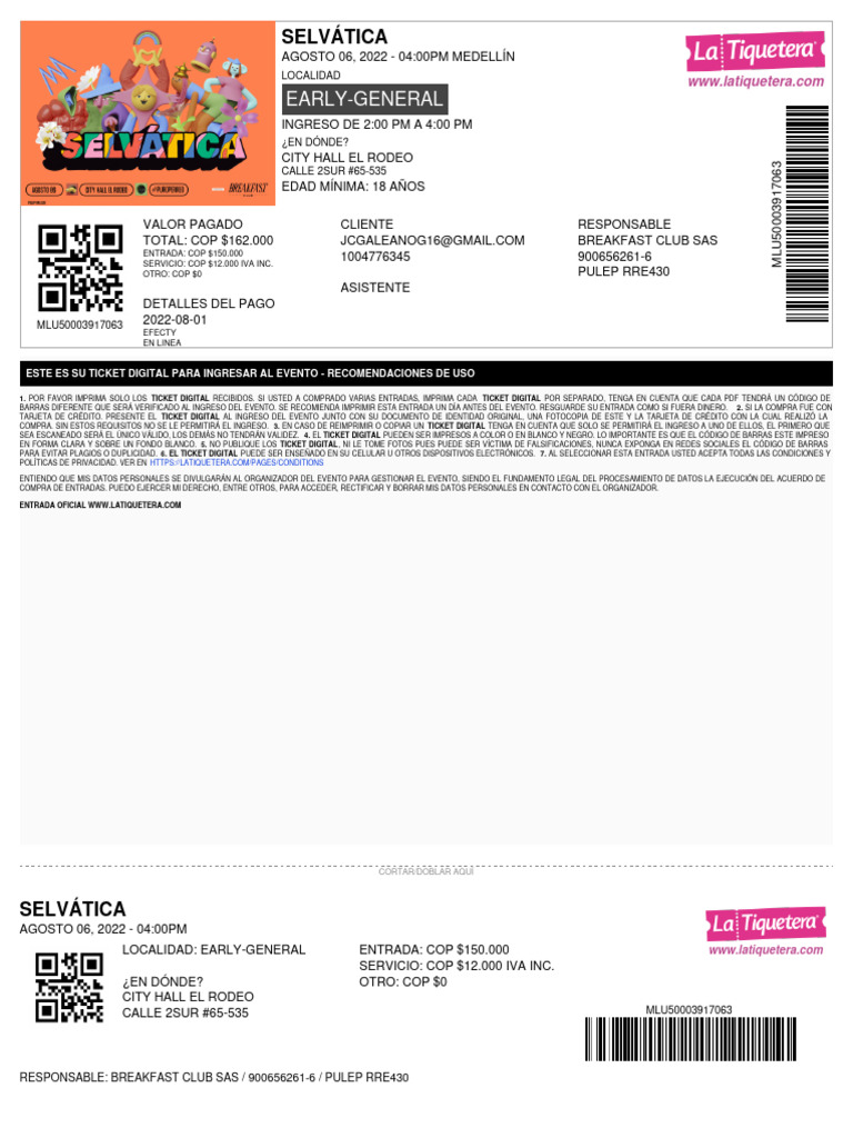 Recomendaciones para su Ticket Digital | PDF | Informática