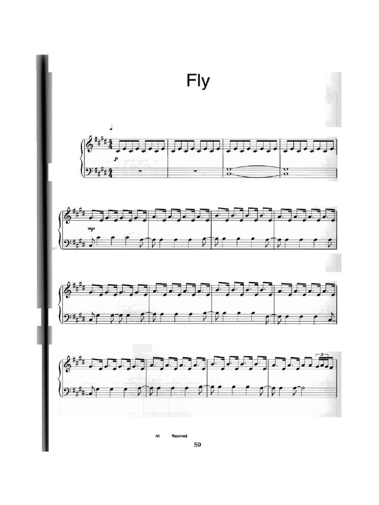 Fly | PDF