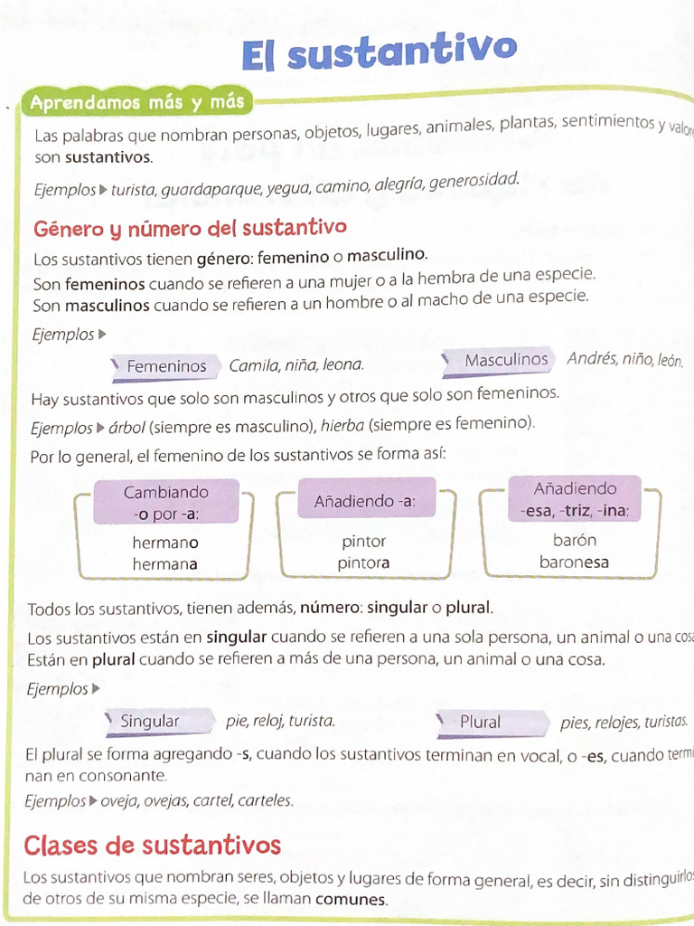 El Sustantivo 3 | PDF