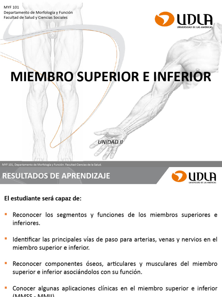 Anatomía Funcional de Extremidades | PDF | Sistema musculoesquelético ...