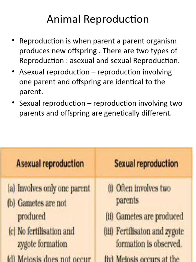 Animal Reproduction Basics | PDF | Self-Improvement | Science & Mathematics