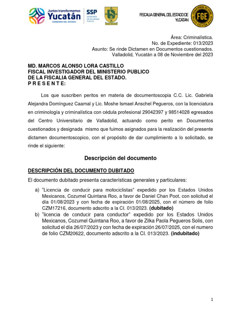 Dictamen_Documentoscopía_ | PDF | Grabado | Impresión