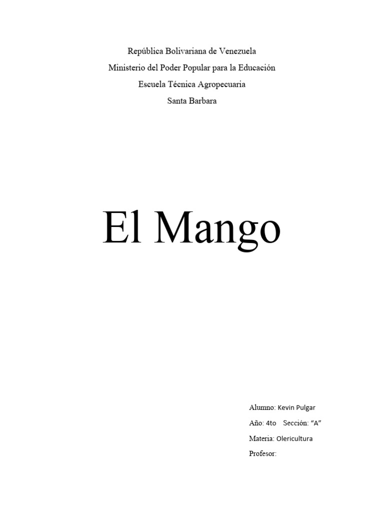 Mango | PDF | Mango