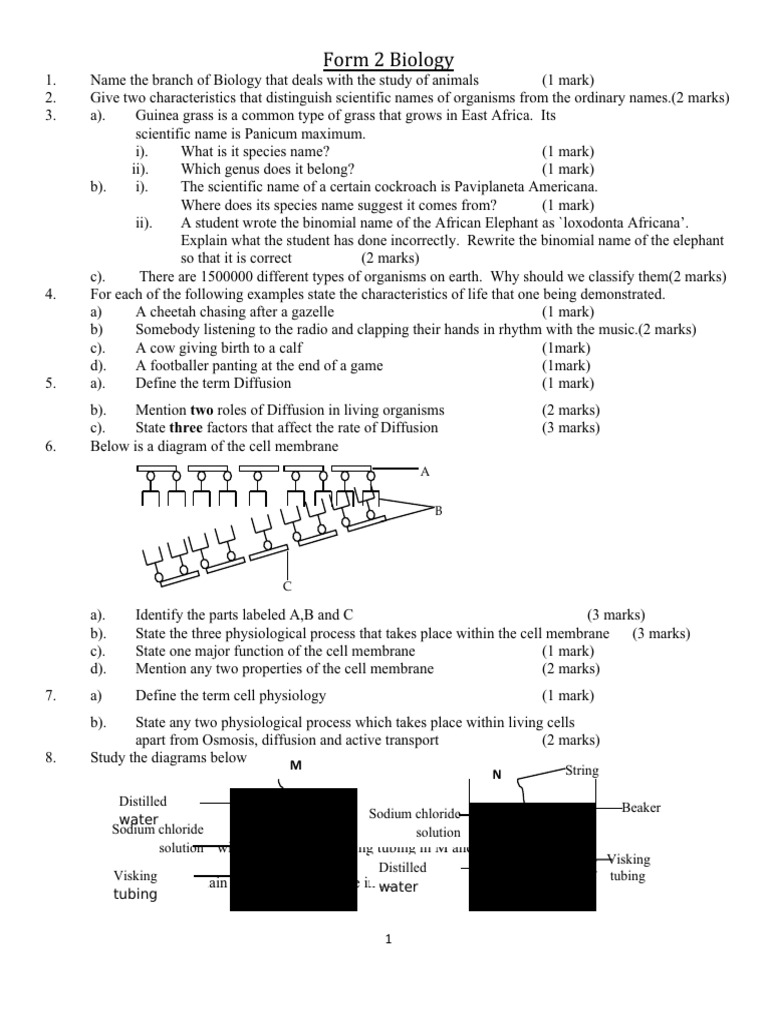 Form 2 Biology | Download Free PDF | Cell (Biology) | Plants