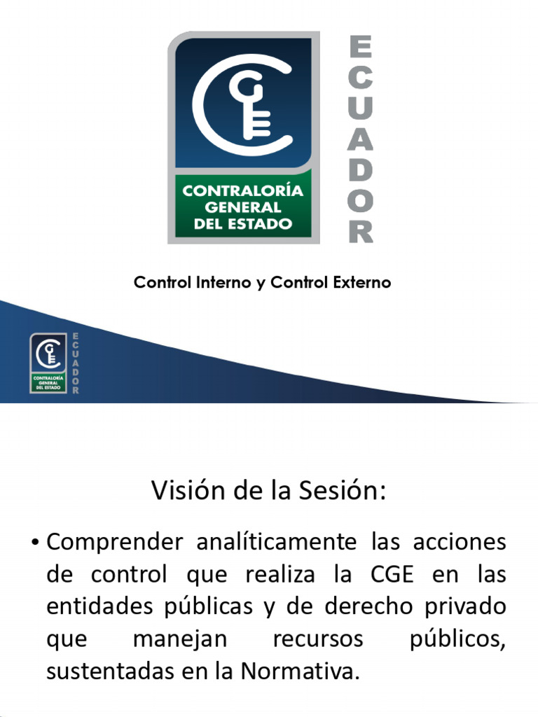 Control Interno y Externo | PDF | Auditoría | Gobierno