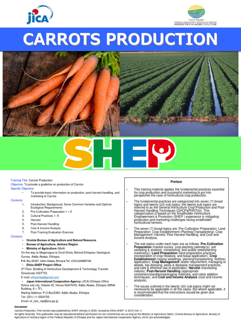 Carrots Production | PDF | Agriculture | Soil