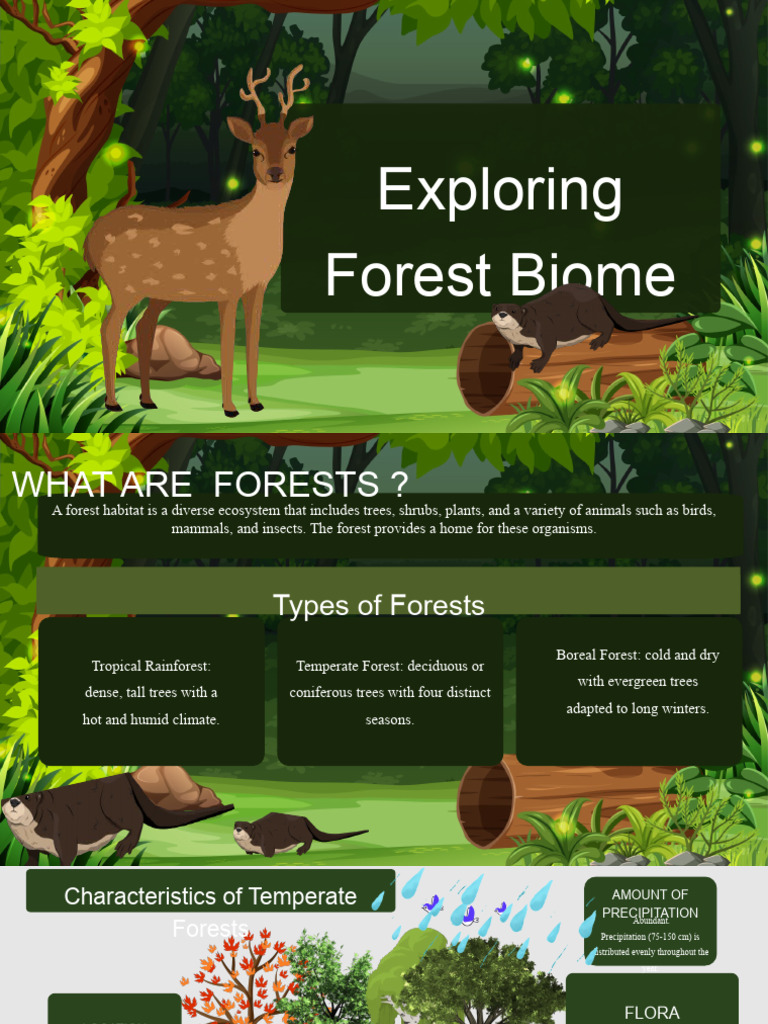 Forest Biome | PDF | Forests | Trees