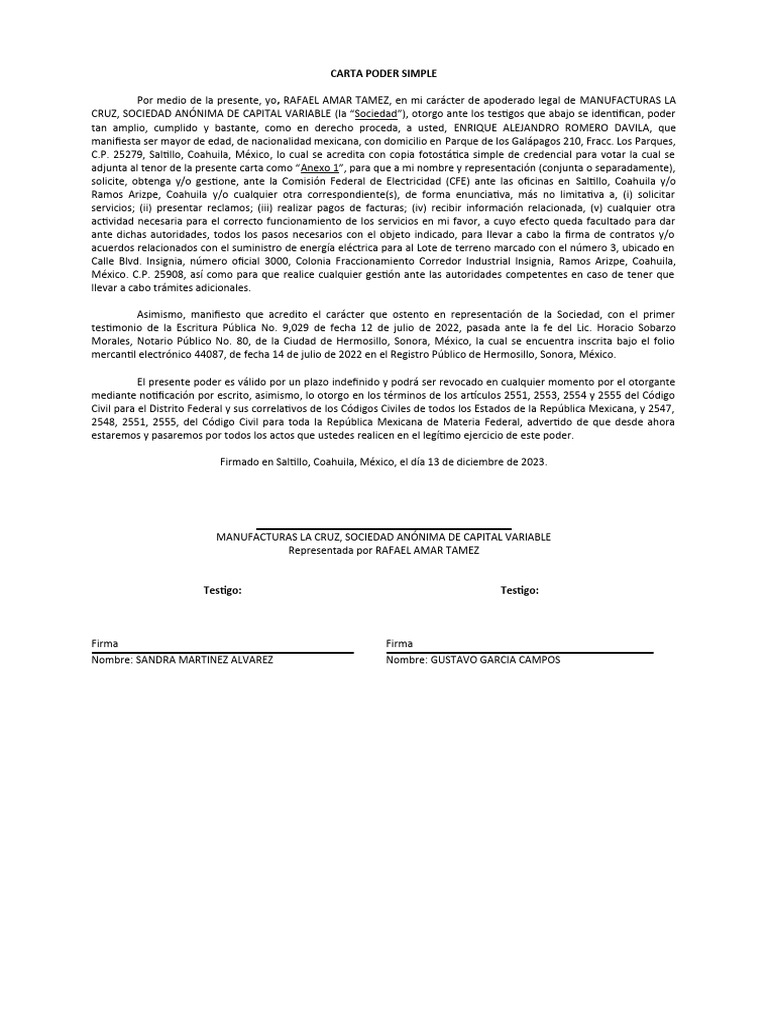 Carta Poder - CFE | PDF | México
