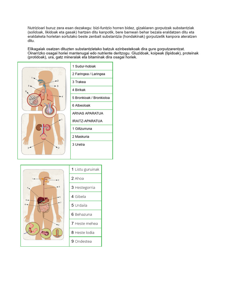 Bio Geo | PDF