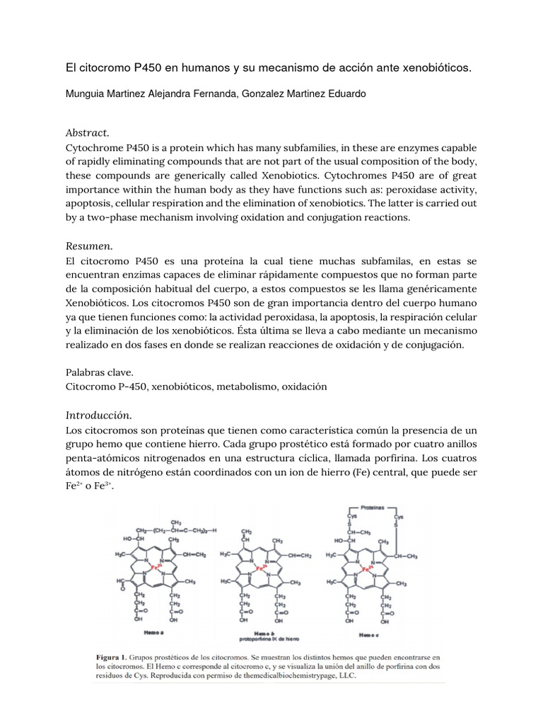 Metabolismo de Xenobióticos por CYP450 | PDF | Cadena de transporte de electrones | Citocromo P450