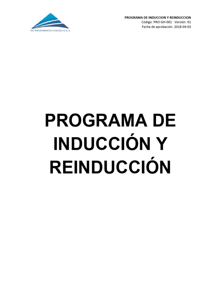 Programa de Induccion y Reinduccion | PDF | Riesgo | Business
