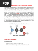 Amino Acids Classification Chart | PDF