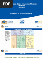 Grade 11 DIGESTIVE SYSTEM LECTURE NOTES | PDF | Human Digestive System ...