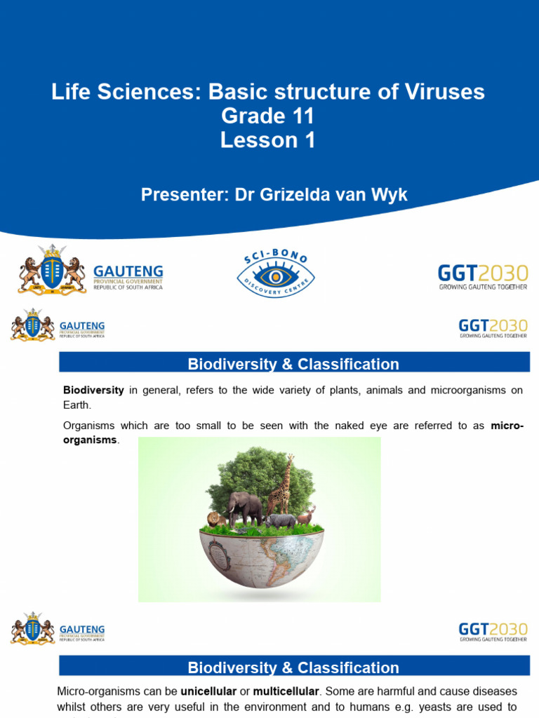 Basic Structure of Viruses for Grade 11 | PDF | Virus | Cell (Biology)