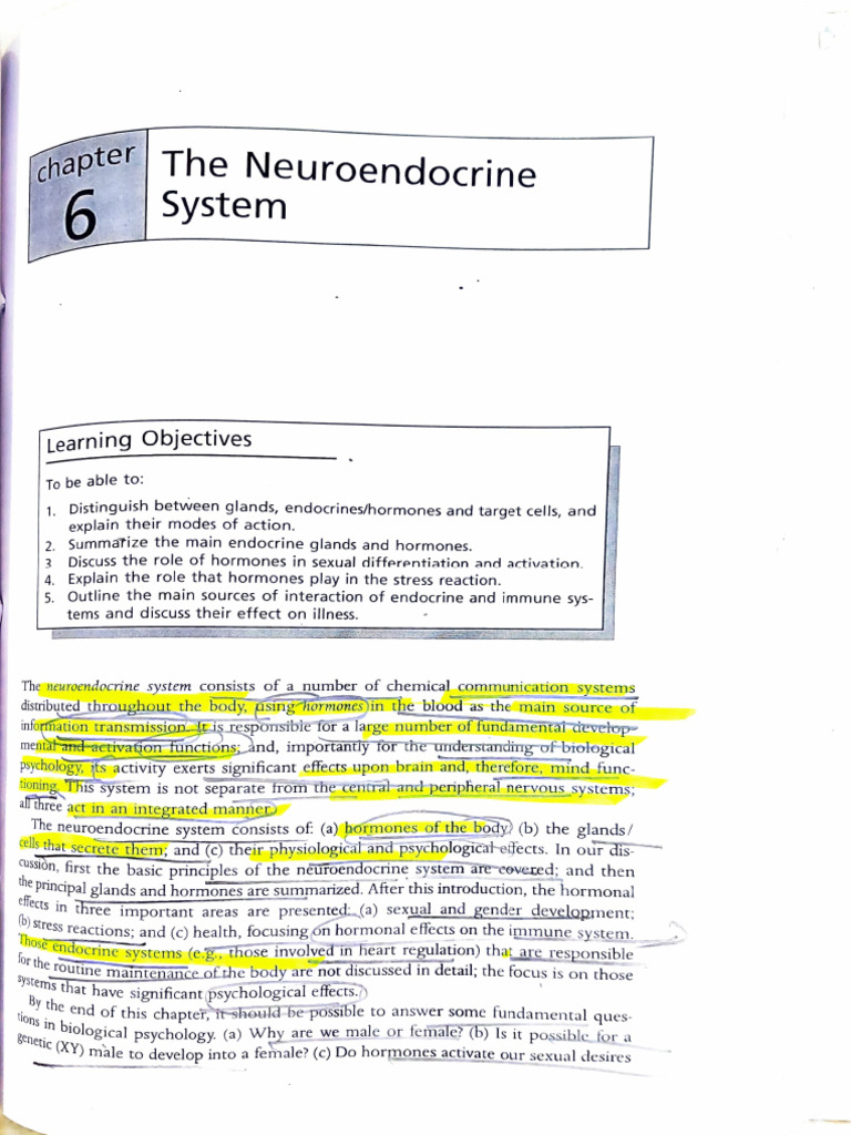 Unit 4 Neuroendocrine System | PDF