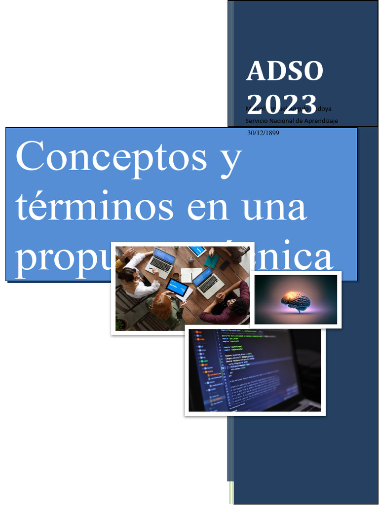 Conceptos propuesta tecnica | PDF | Software | Economias