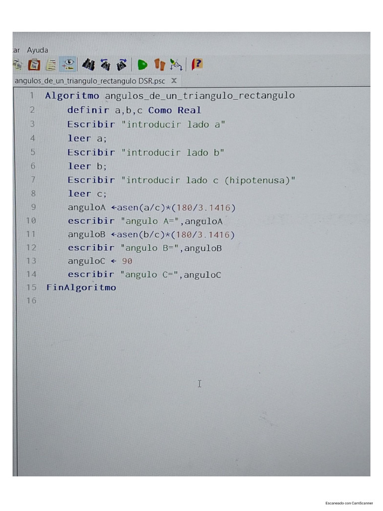 Algoritmo Pseint | PDF