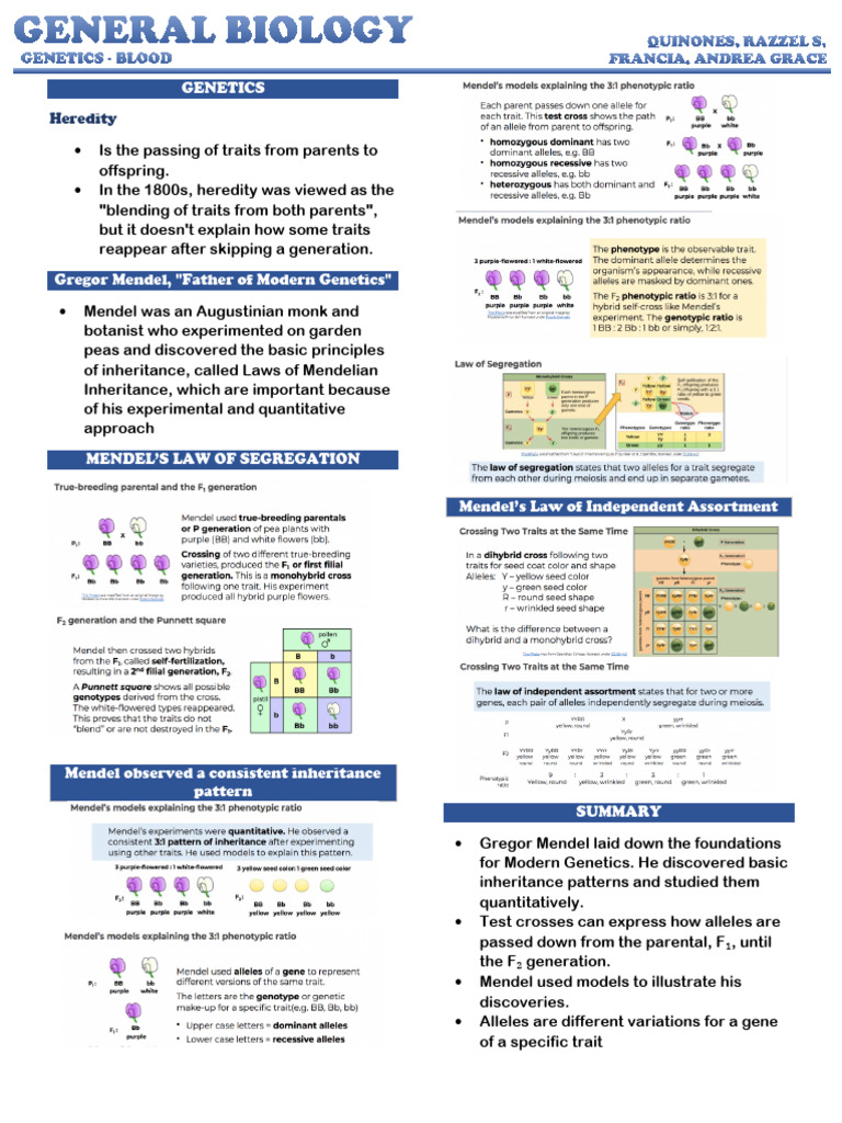 Biology 2 Genetics | PDF | Heredity | Dominance (Genetics)