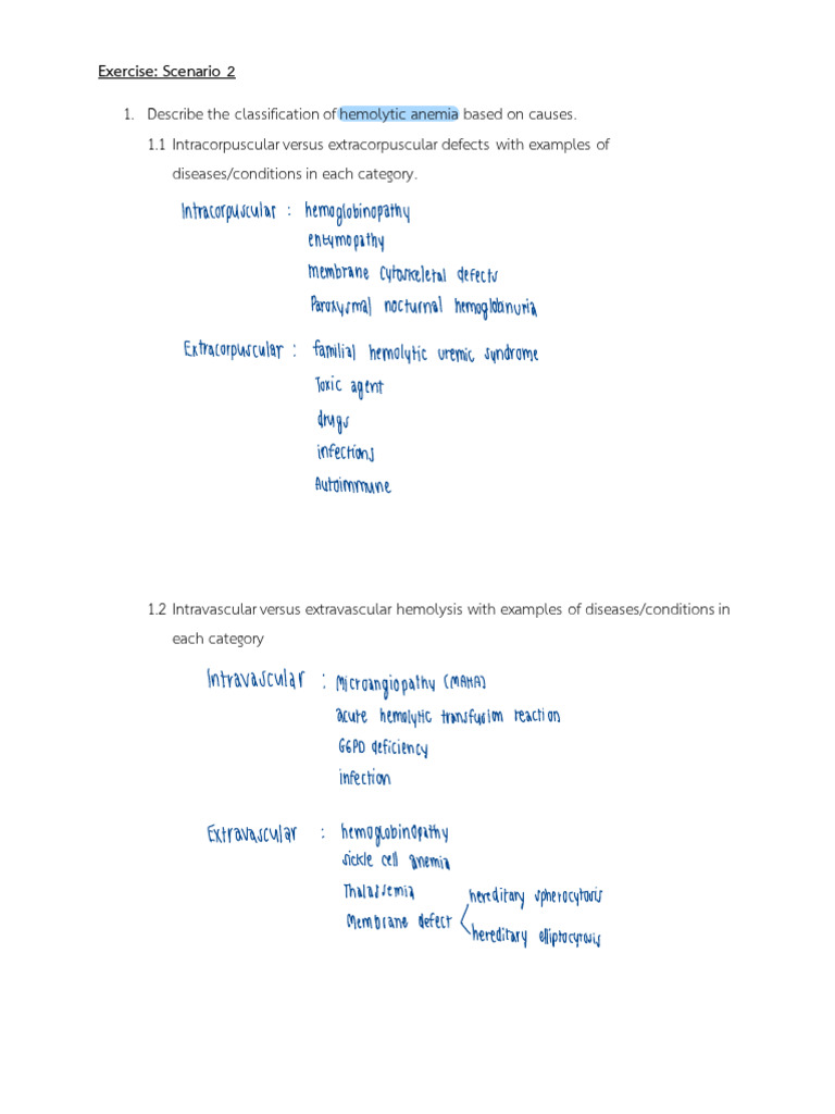 Scenario 2 Exercise | PDF