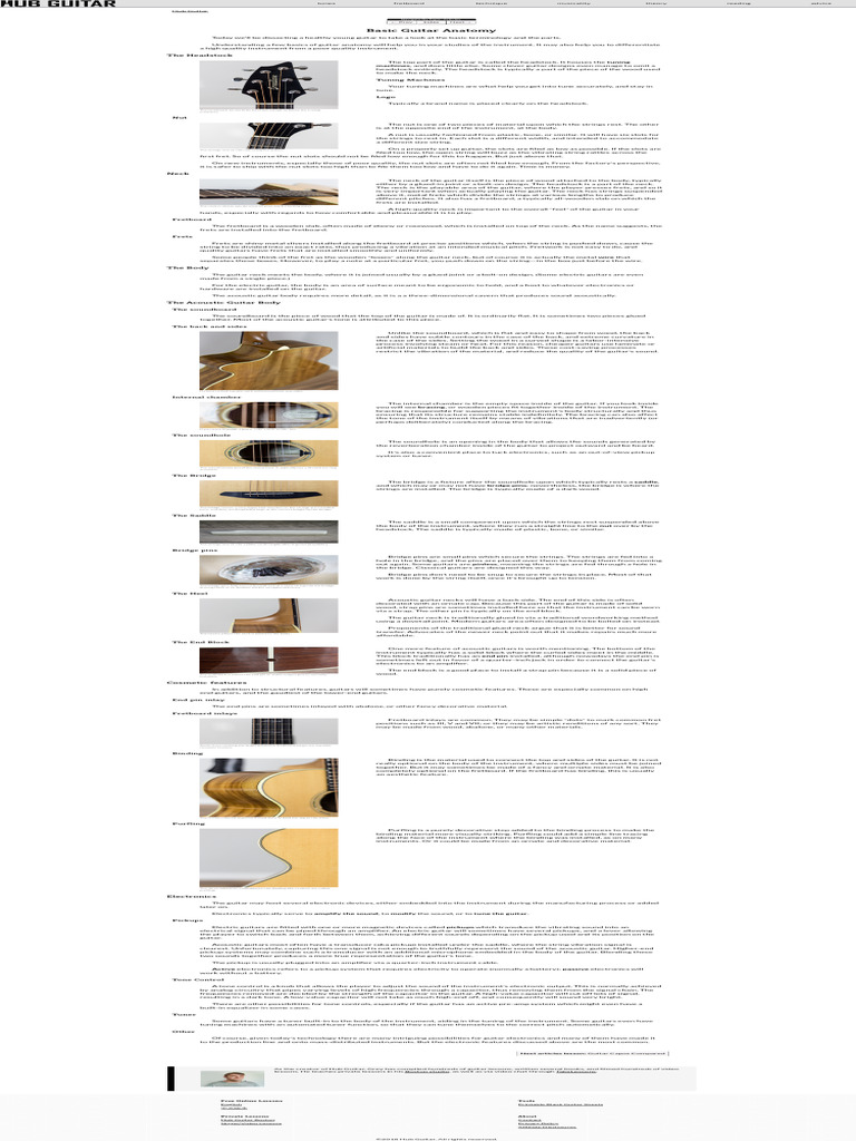 Basic Guitar Anatomy - Hub Guitar | PDF | Guitars | String Instruments