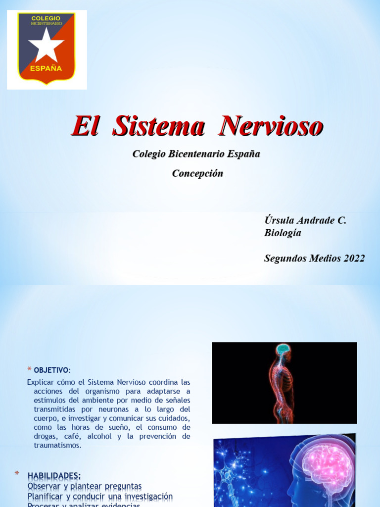 S. Nervioso 2 Medios 2022 Neuronas y A Reflejo | PDF | Sistema nervioso | Mielina