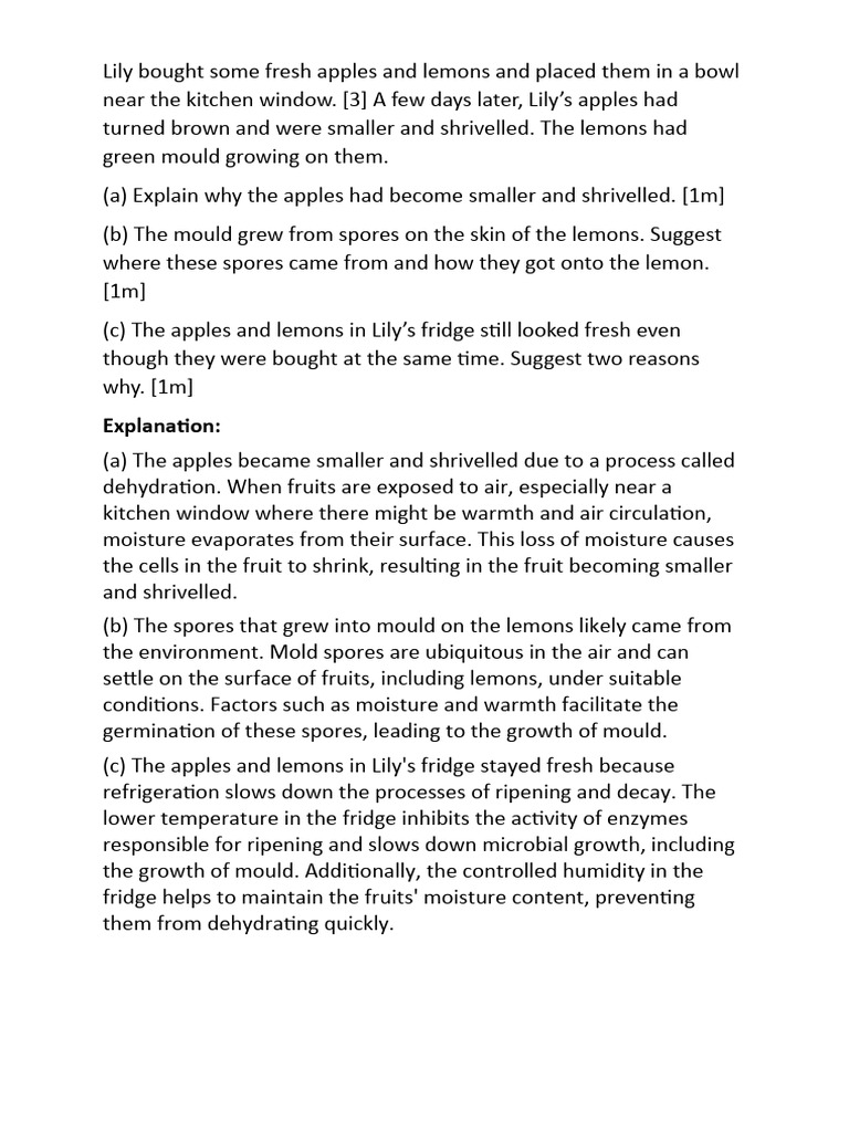 Unit 7 Brainly Pdf