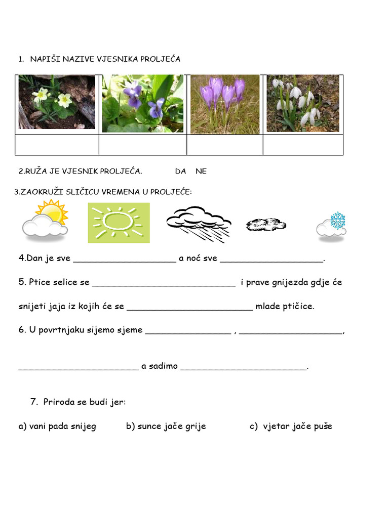 VJESNIci PROLJECa ANA | PDF