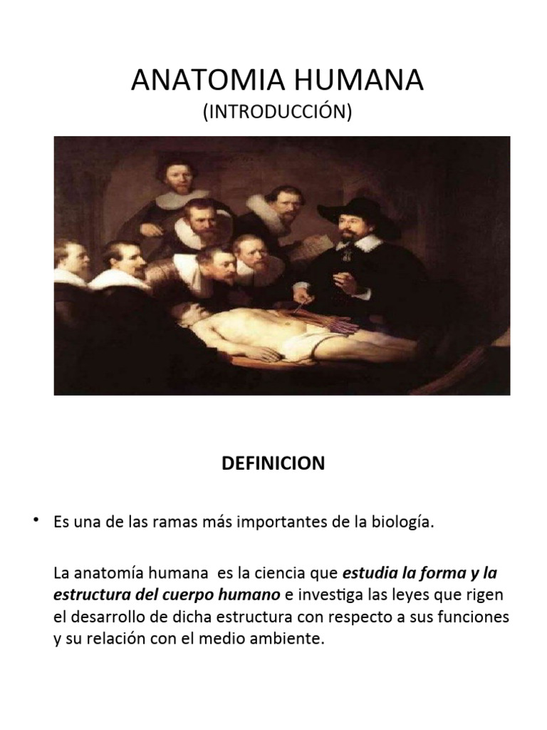 ANATOMIA | PDF | Términos anatómicos de ubicación | Anatomía