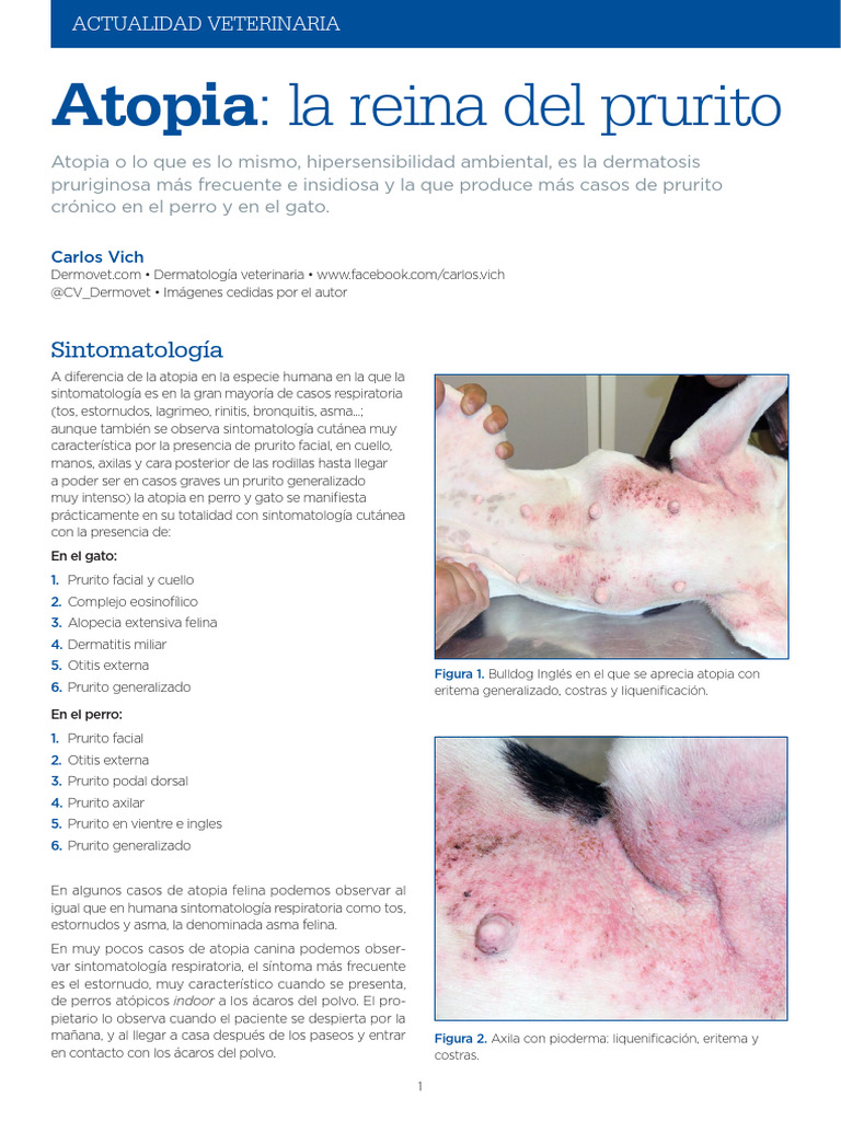 Atopia en perros y gatos: síntomas y tratamiento | PDF | Inmunoterapia ...
