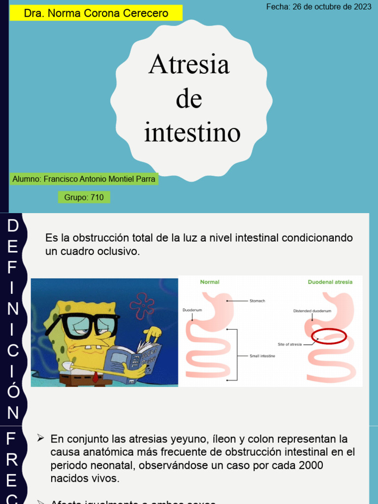 Atresia de Intestino | PDF | Tracto gastrointestinal | Medicina CLINICA