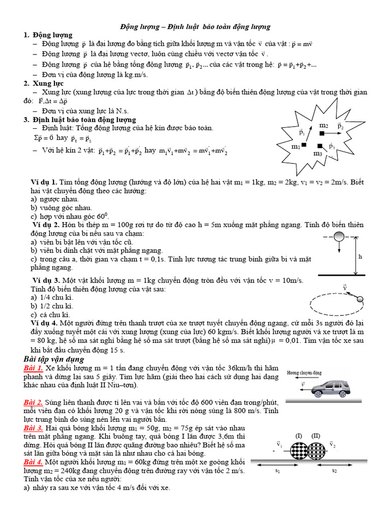 Dong Luong - DL Baor Toan Dong Luong | PDF