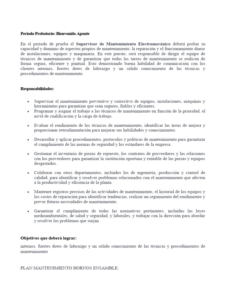 Periodo Probatorio | PDF | Negocios | Informática