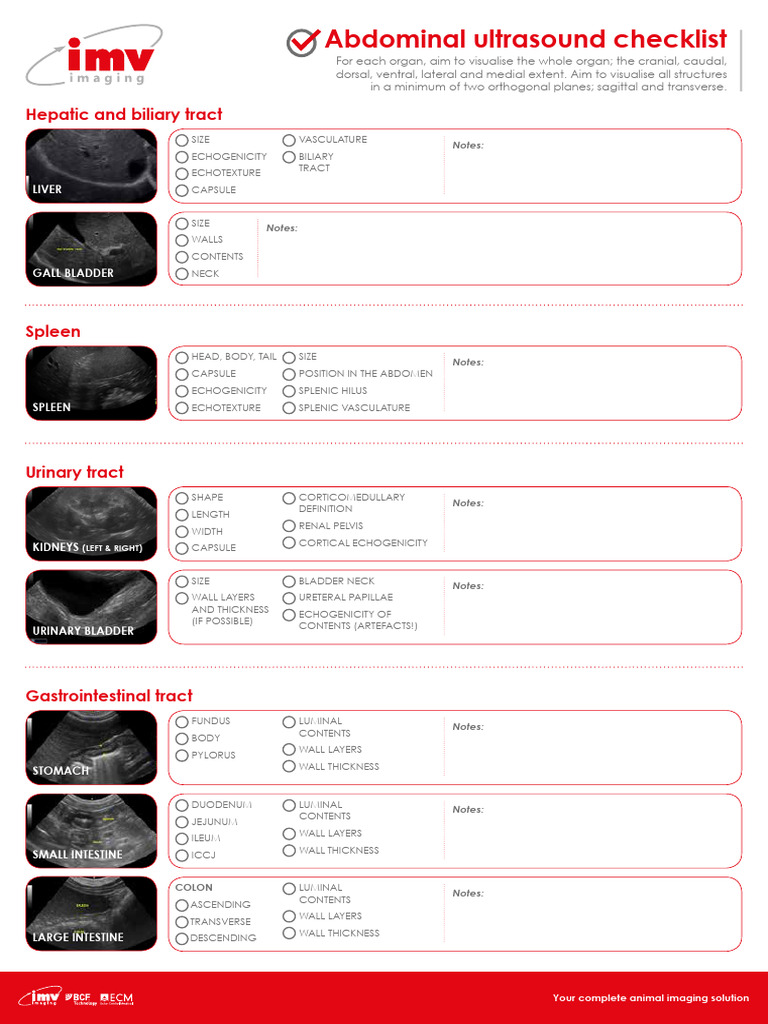 Abdominal Ultrasound Checklist for Animals | PDF | Abdomen ...