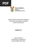 IsiZulu GRD 7 T3 21 | PDF