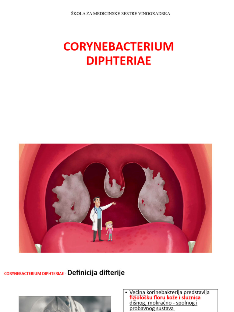 Corynebacterium Diphteriae | PDF