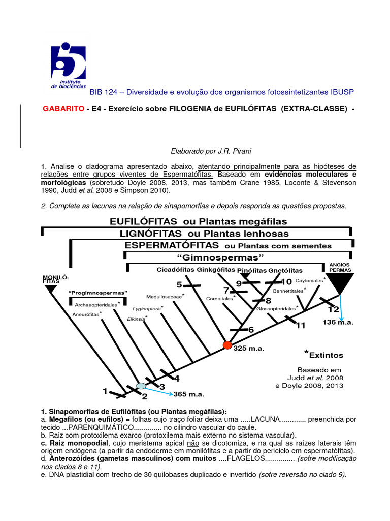 E4 - Exercicio FILOGENIA de EUFILOFITAS - 2017-GABARITO | PDF | Plantas ...