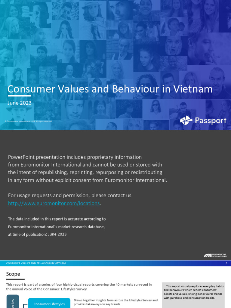 Consumer Values and Behaviour in Vietnam | PDF | Sustainability ...