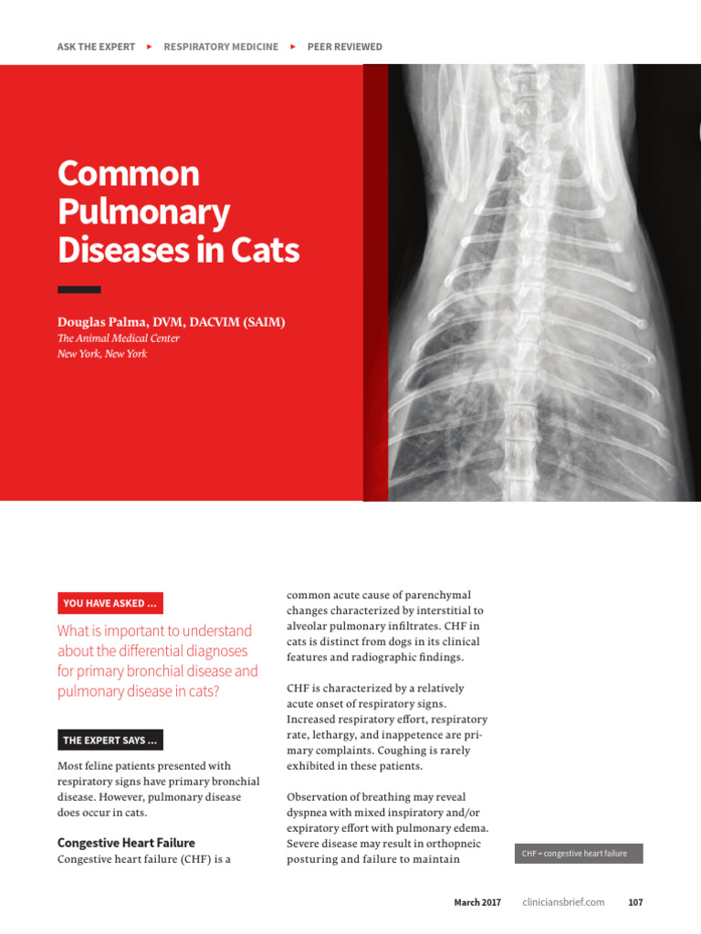 Ask - Common Pulmonary Diseases in Cats 36201 Article | PDF ...